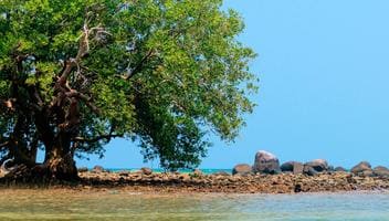 MSC Cruises to Pomene: Dive into an Exhilarating African Odyssey