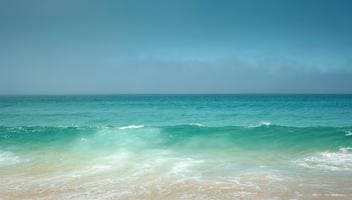 MSC Cruises to Pomene: Dive into an Exhilarating African Odyssey