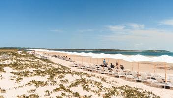 MSC Cruises to Pomene: Dive into an Exhilarating African Odyssey